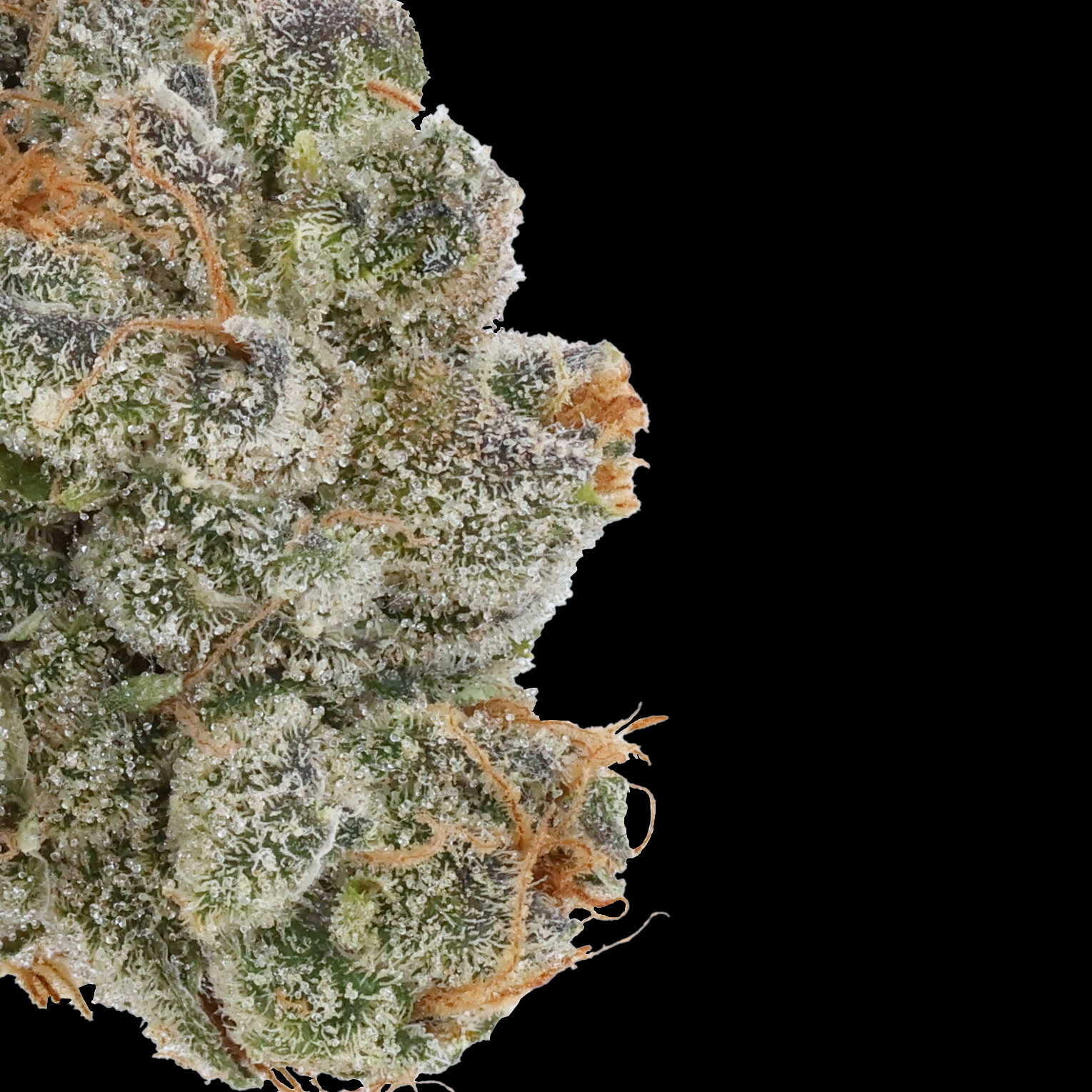 Peach Wreck - Strain | Fig Farms